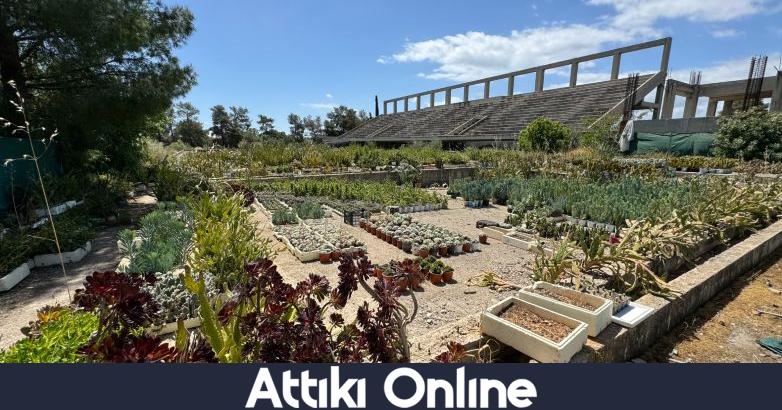 ΕΛΕΥΣΙΝΑ: Αυτοψία- κόλαφος του Υγειονομικού για το δημοτικό ...